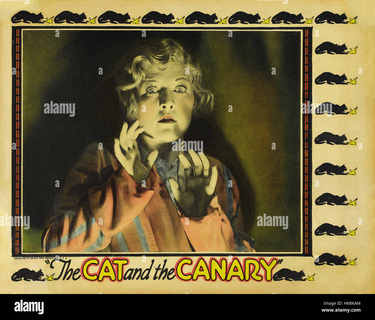 The Cat and the Canary (1927) - Movie Poster Stock Photo - Alamy