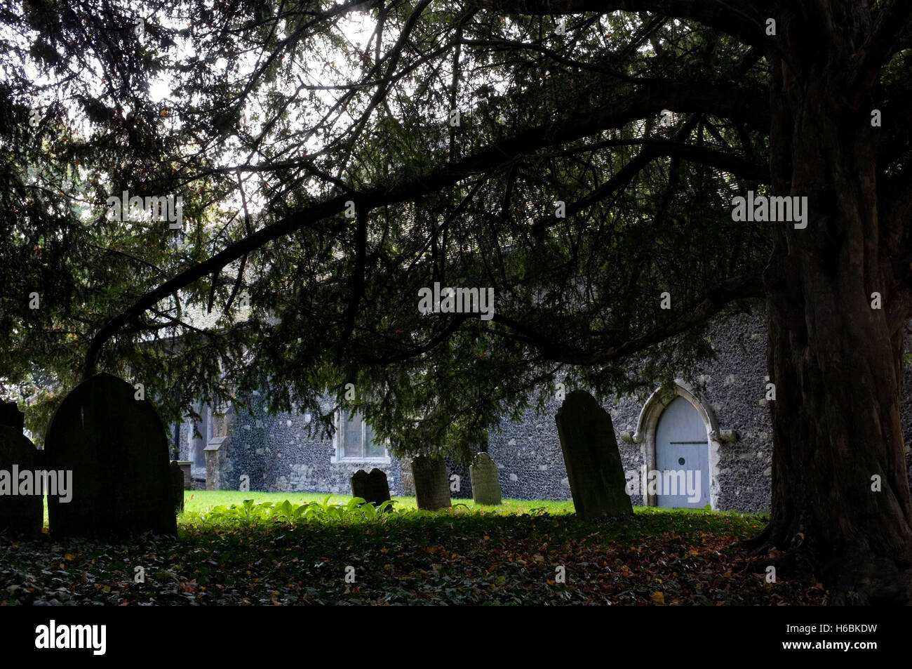 all saints church burial grounds in westbere village east kent uk ...