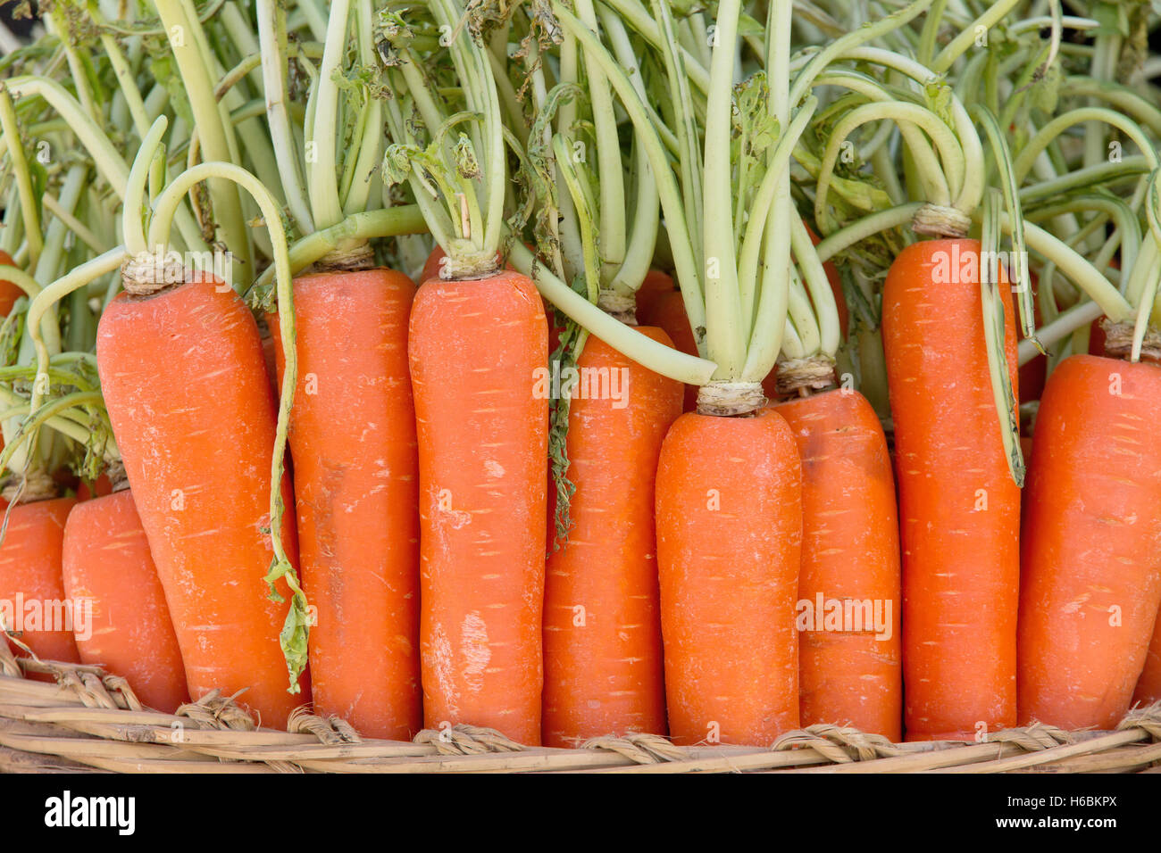 fresh carrots background Stock Photo - Alamy