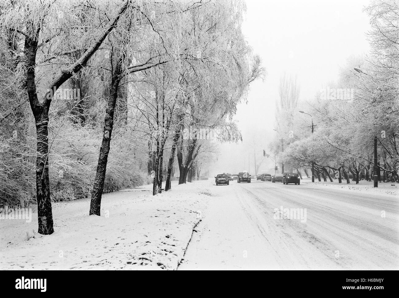 Winter city road with cars and snowbound trees on the sides Stock Photo ...