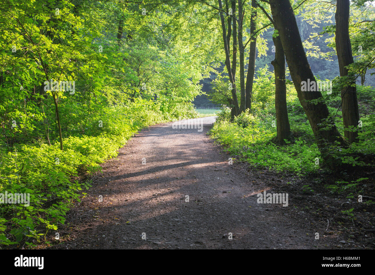 Carpathian hi-res stock photography and images - Alamy