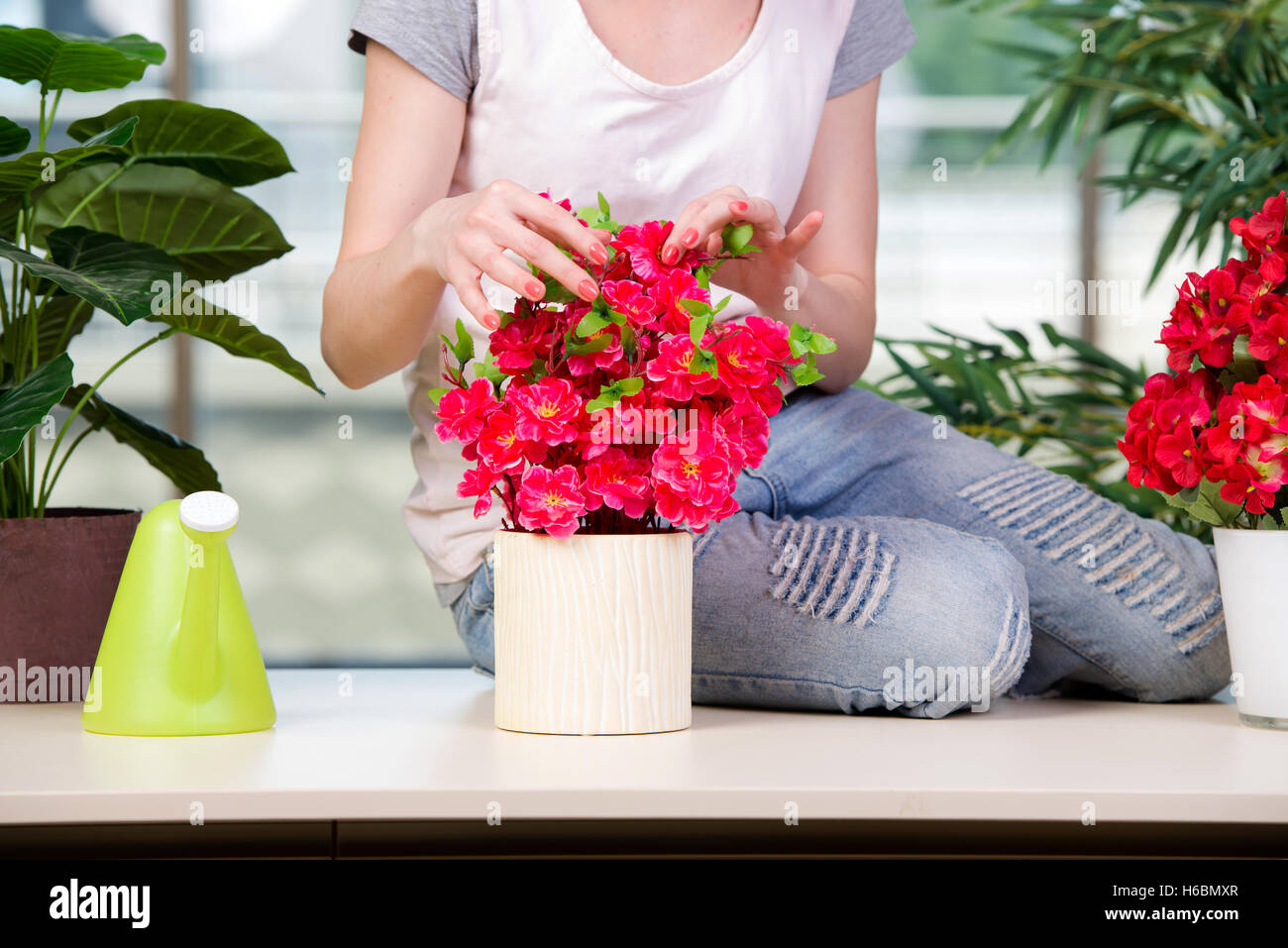 Looking after greenhouse hi-res stock photography and images - Alamy