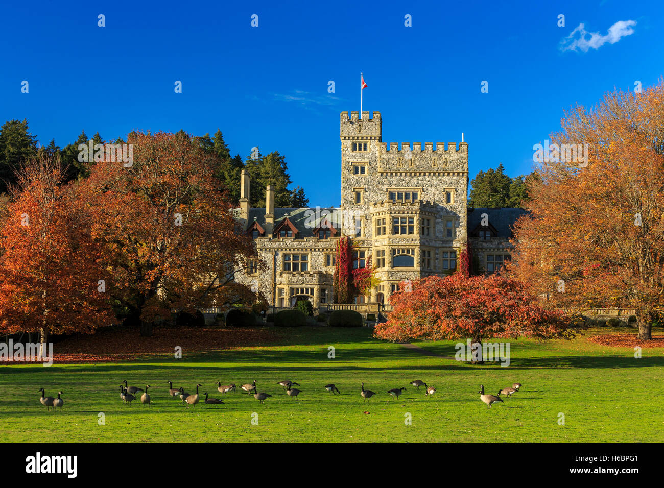 Royal Roads University Stock Photos & Royal Roads University Stock ...