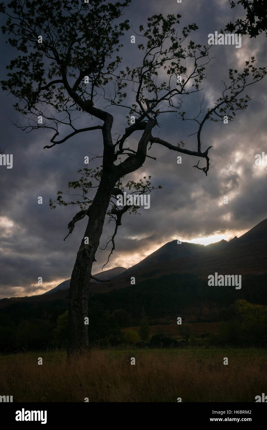 A dark and moody image of the Scottish landscape Stock Photo - Alamy