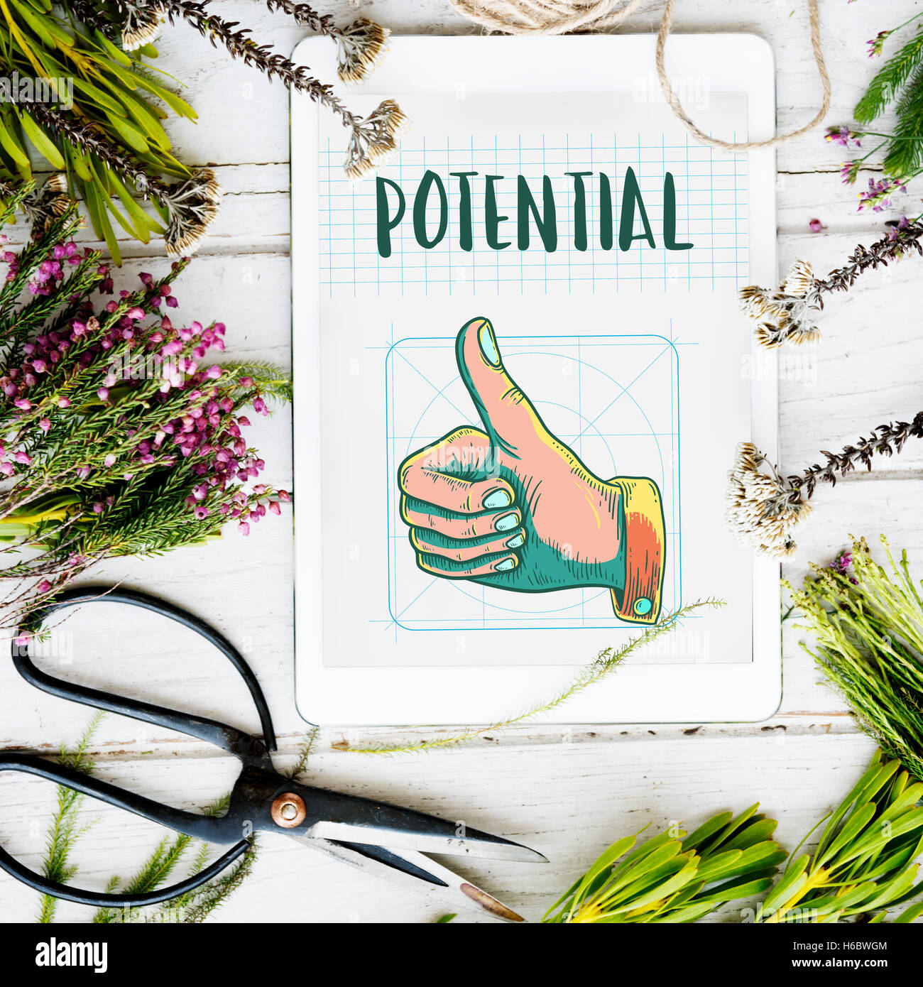 Branding Design Practice Success Creative Concept Stock Photo - Alamy