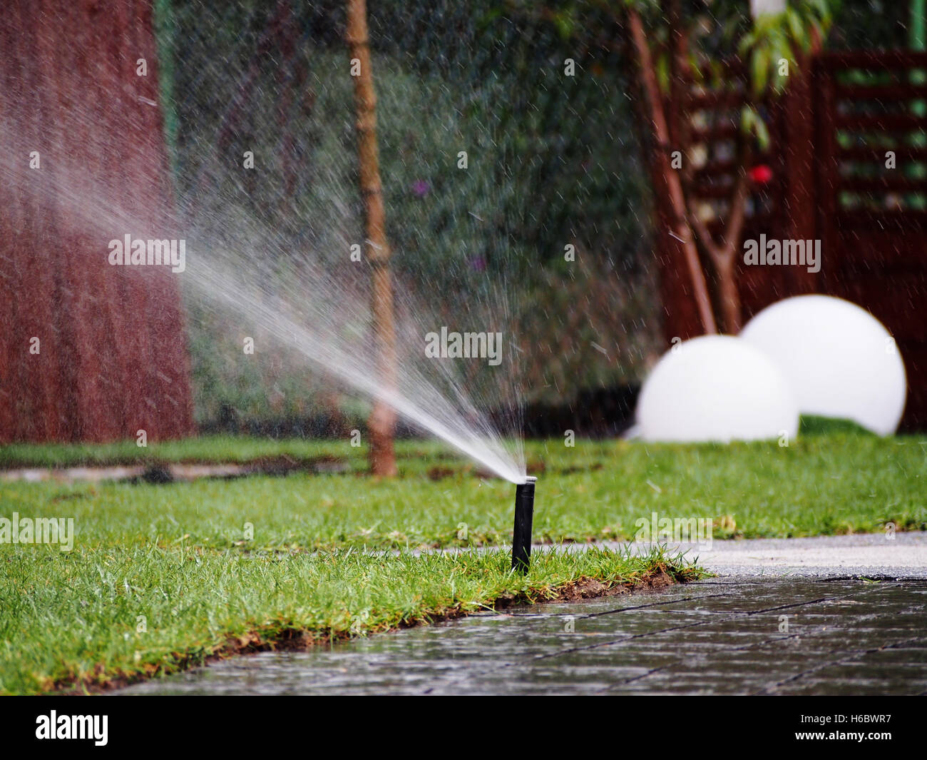 Sprinkling technology hi-res stock photography and images - Alamy
