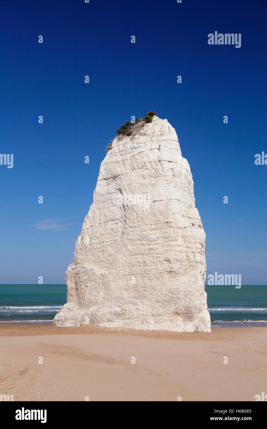 Pizzomunno limestone rock, beach of Castello, Vieste, Gargano National ...