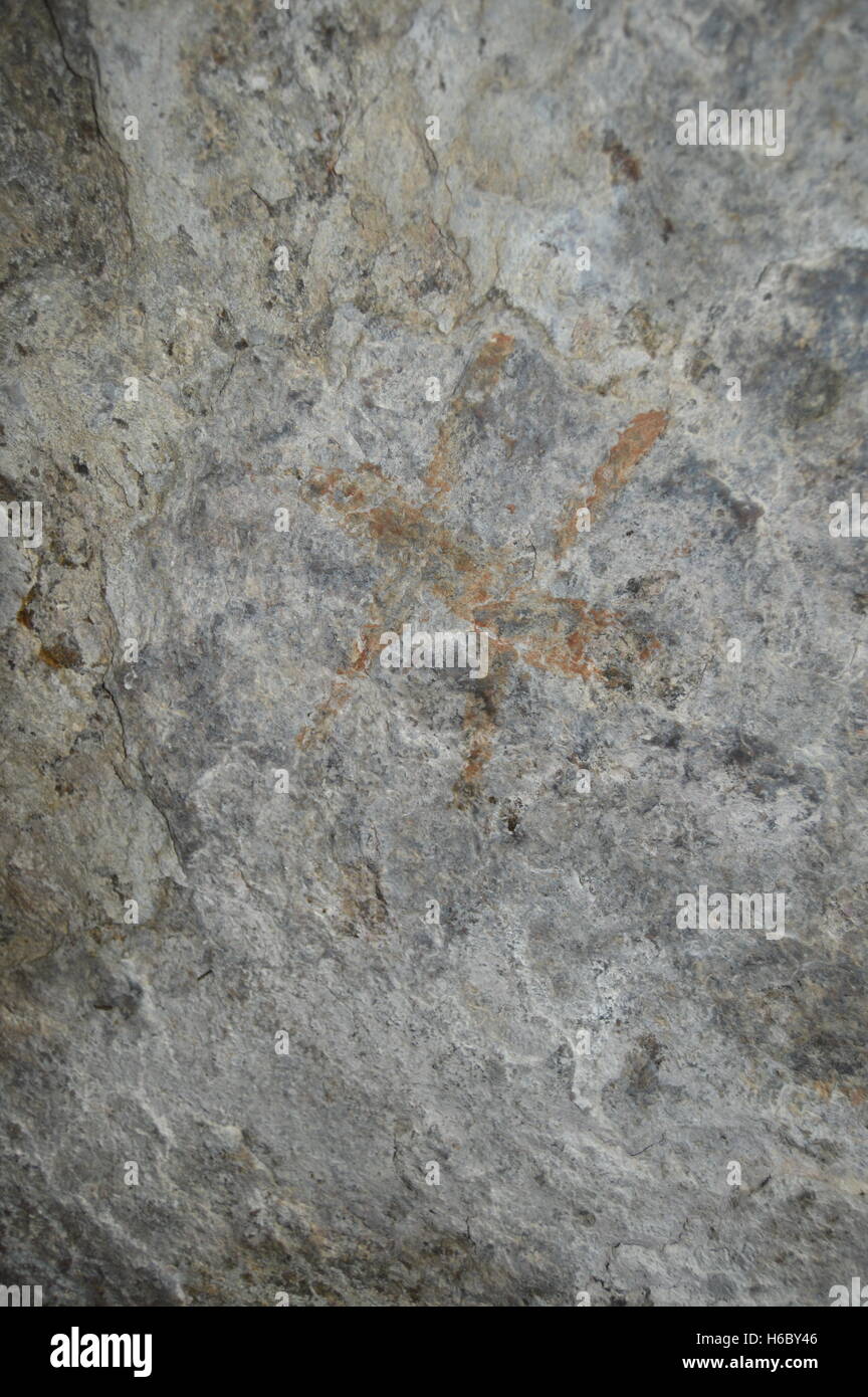 Cave paintings in Stone Elephant cave, Venezuela Stock Photo - Alamy