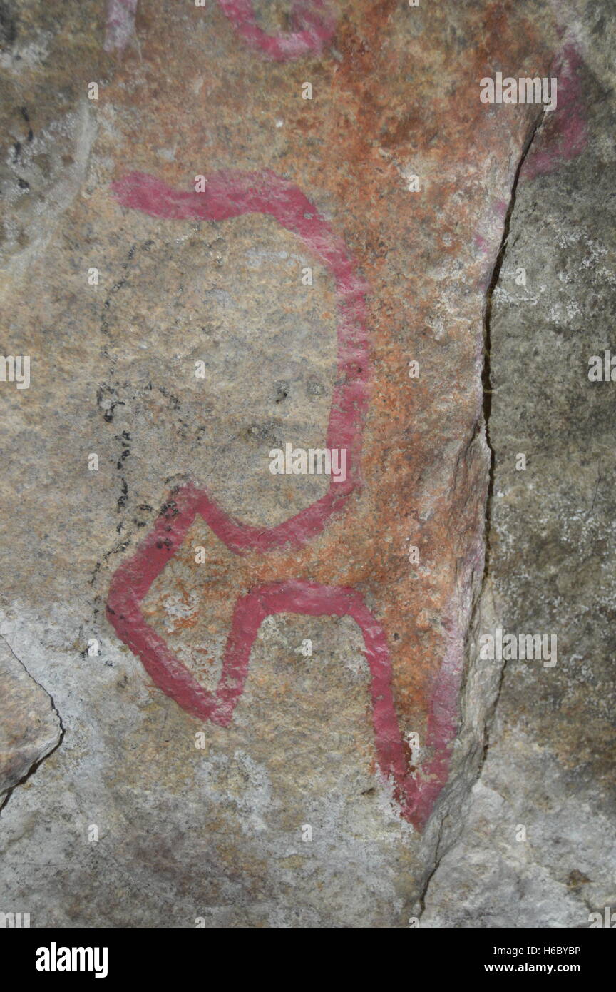 Cave paintings in Stone Elephant cave, Venezuela Stock Photo - Alamy