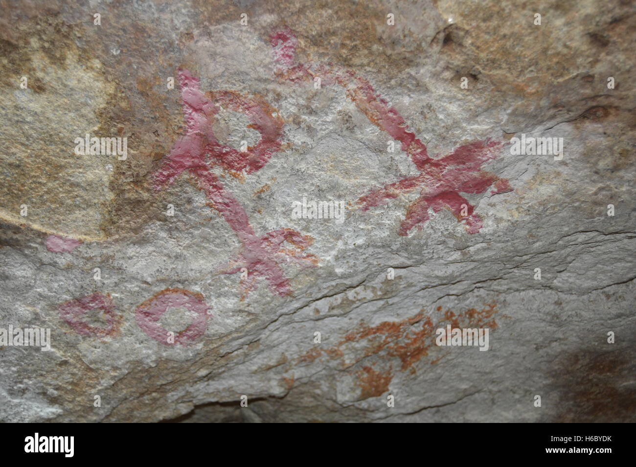 Cave paintings in Stone Elephant cave, Venezuela Stock Photo - Alamy