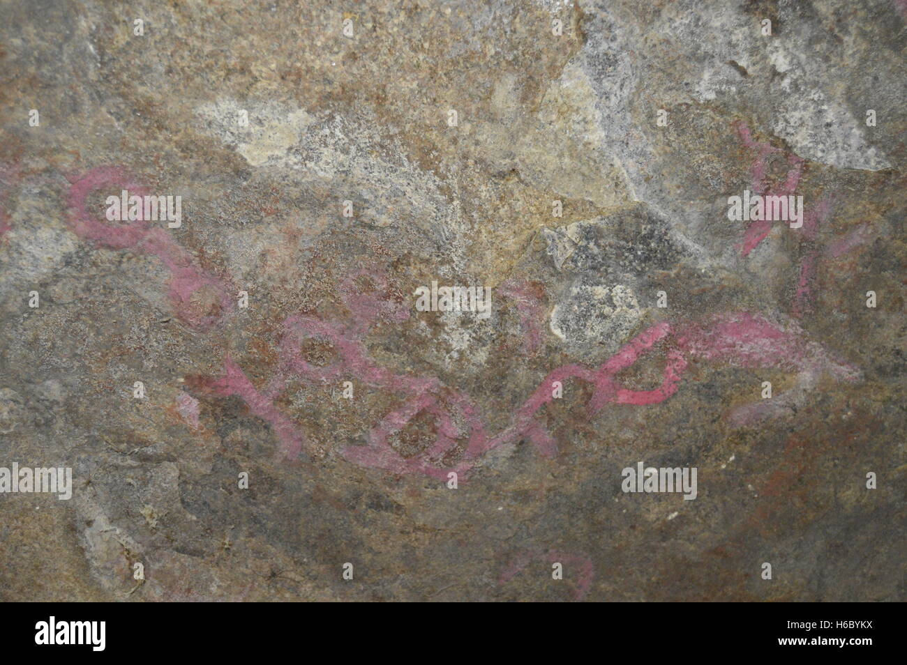 Cave paintings in Stone Elephant cave, Venezuela Stock Photo - Alamy