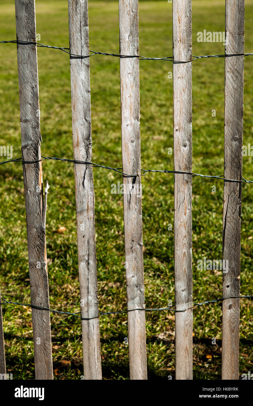 Fence made of thin wooden beams against background of green grass lawn ...
