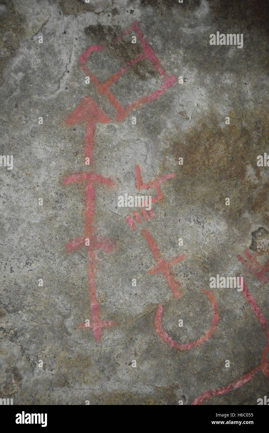 Cave paintings in Stone Elephant cave, Venezuela Stock Photo - Alamy