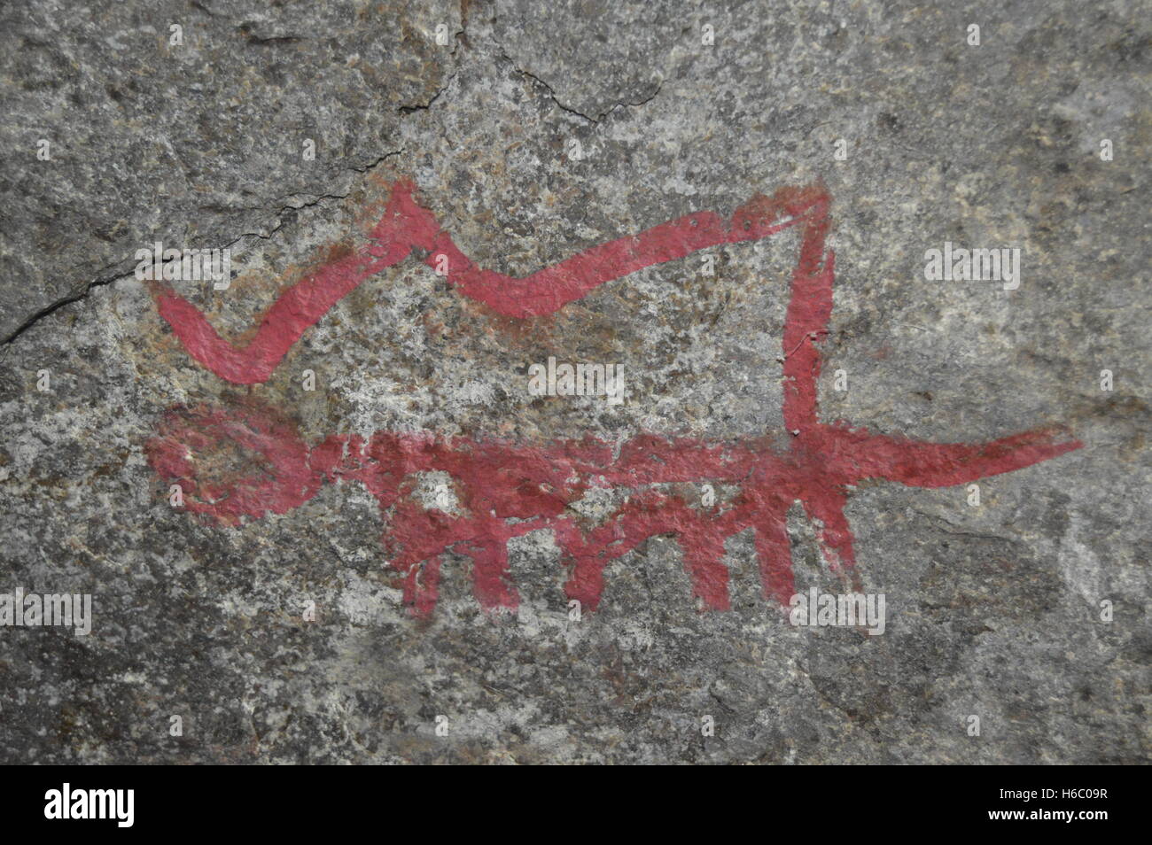 Cave paintings in Stone Elephant cave, Venezuela Stock Photo - Alamy