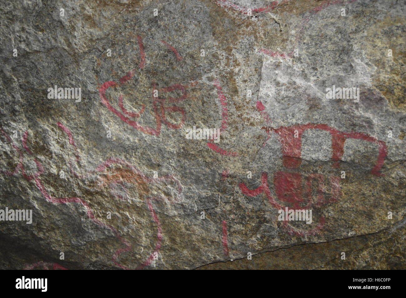 Cave paintings in Stone Elephant cave, Venezuela Stock Photo - Alamy