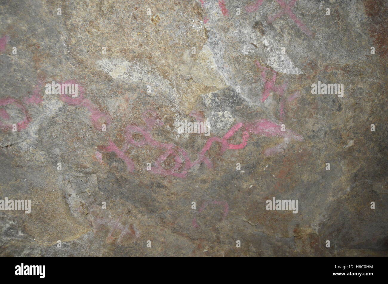 Cave paintings in Stone Elephant cave, Venezuela Stock Photo - Alamy