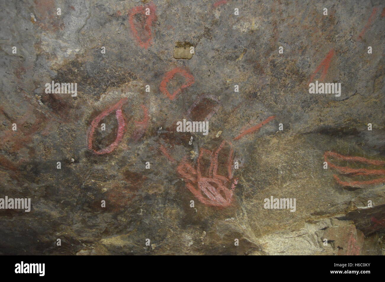 Cave paintings in Stone Elephant cave, Venezuela Stock Photo - Alamy