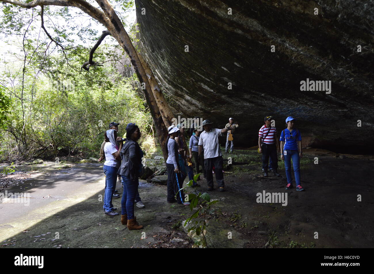Cave paintings in the cave of the Stone Elephant, Venezuela Stock Photo ...