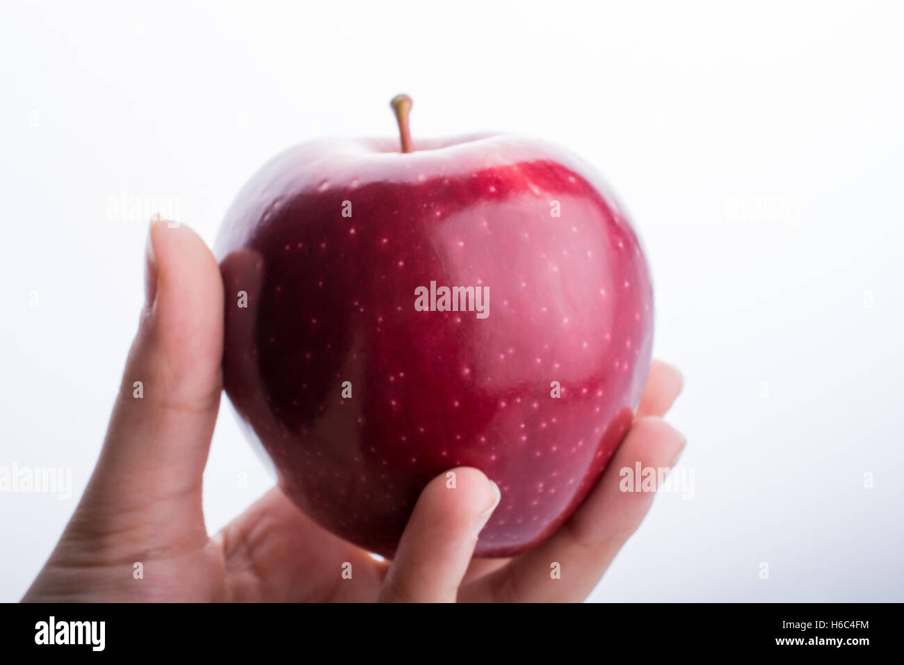 Hand holding a beautiful red apple on a white background Stock Photo ...