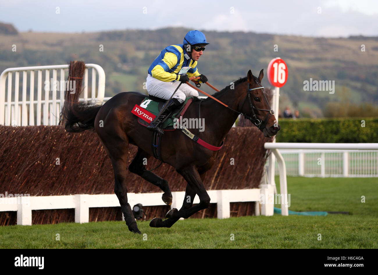 A tinkler jockey cheltenham hi-res stock photography and images - Alamy