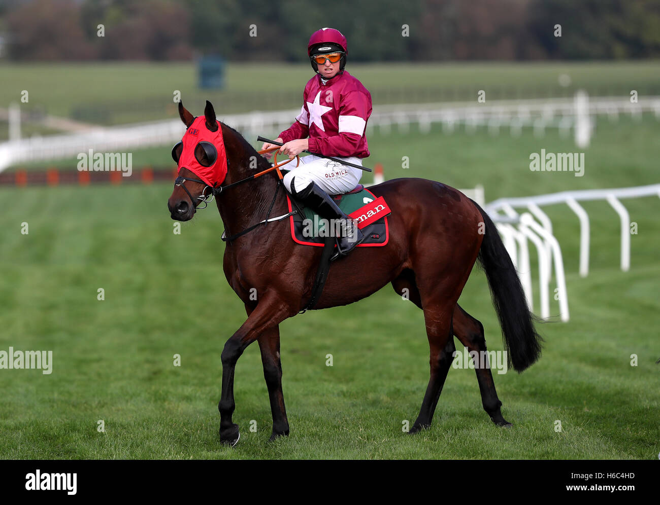 Tiger Roll ridden by jockey Jamie Codd during the Ryman Stationery ...