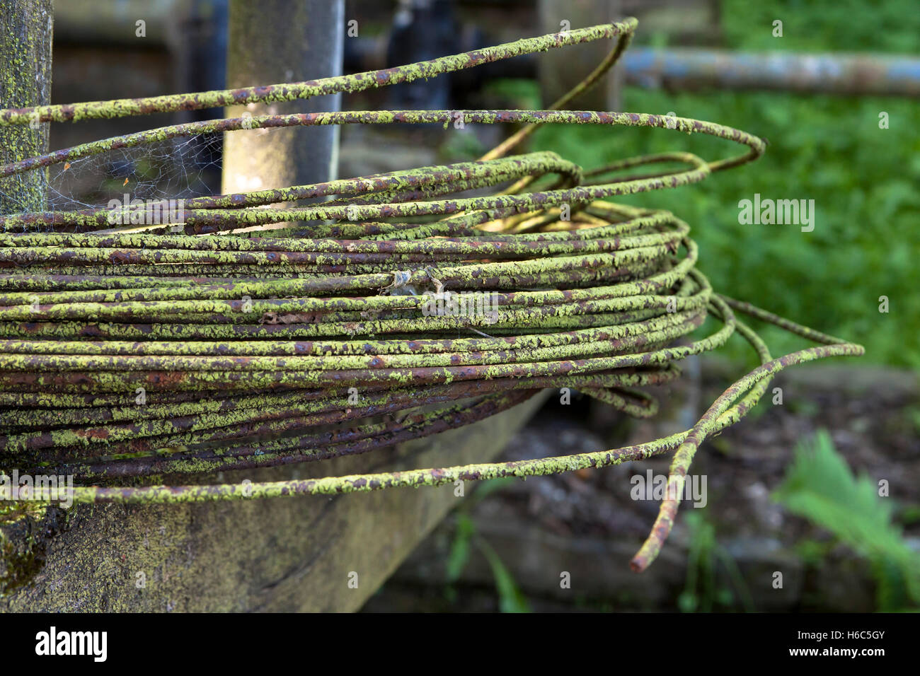 Germany, Hagen, Hagen Open-air Museum, copper rust on wire in front of ...