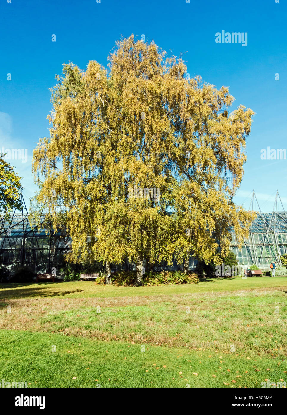 Royal botanic garden edinburgh autumn hi-res stock photography and ...