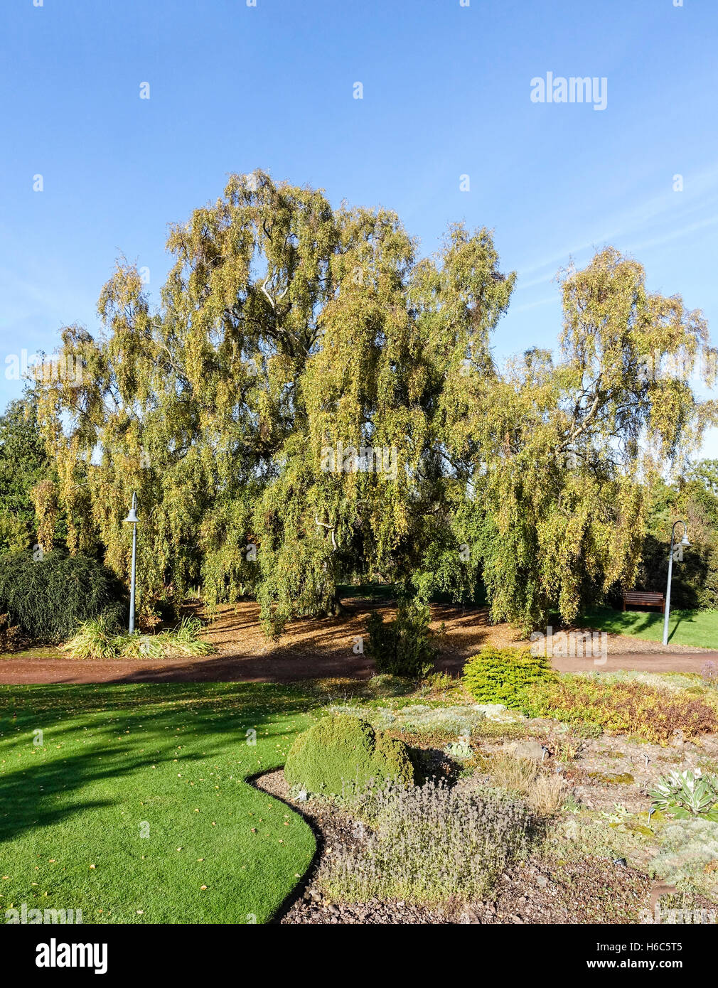 Royal botanic garden edinburgh autumn hi-res stock photography and ...