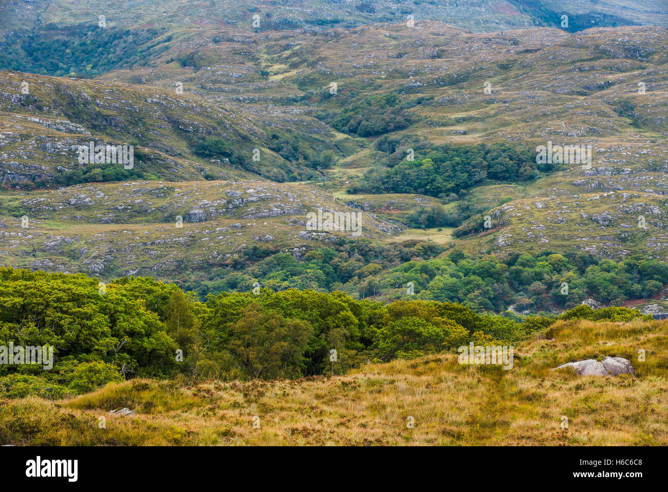 Ladies view kerry hi-res stock photography and images - Alamy