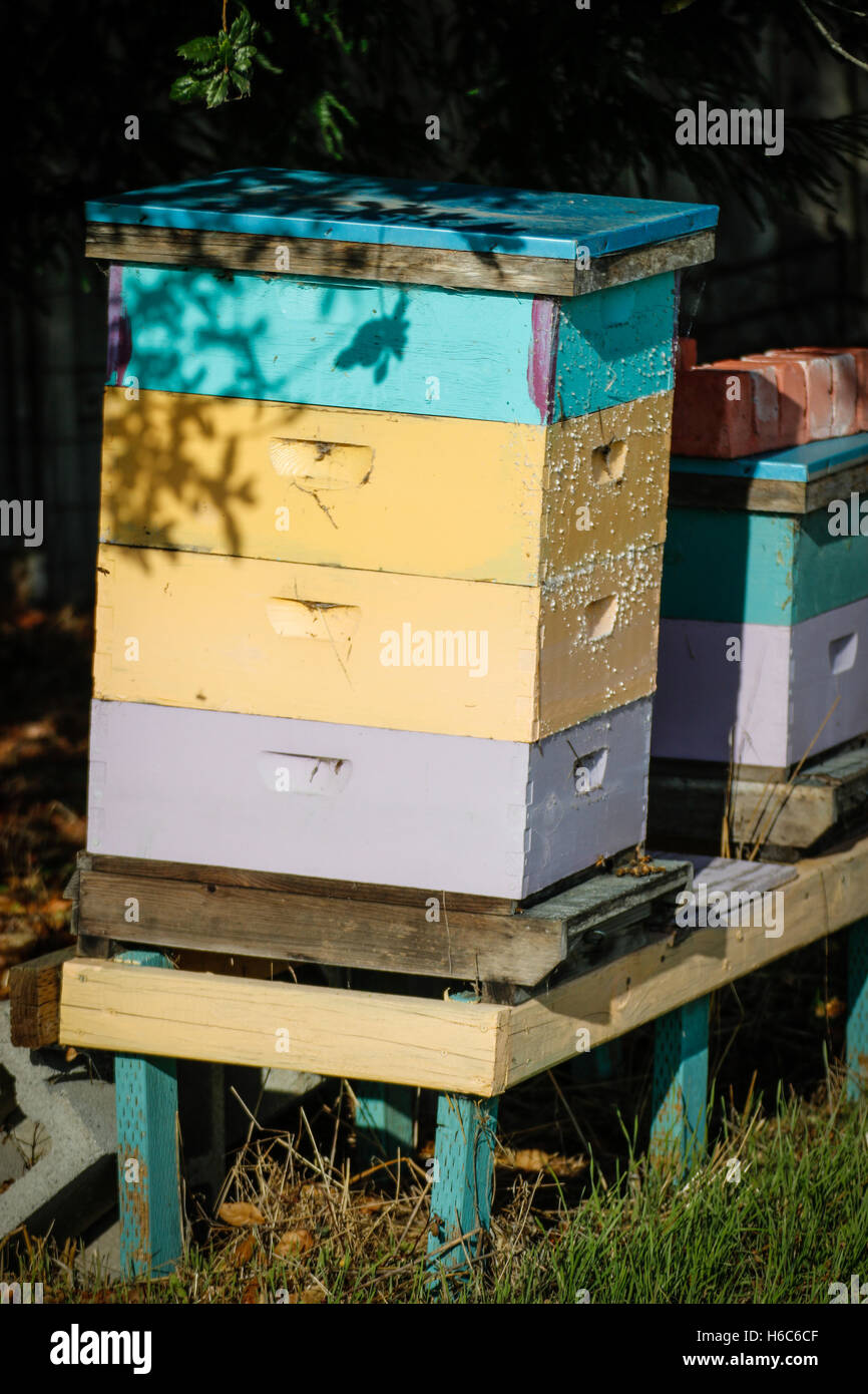 Colorful beehive hi-res stock photography and images - Alamy