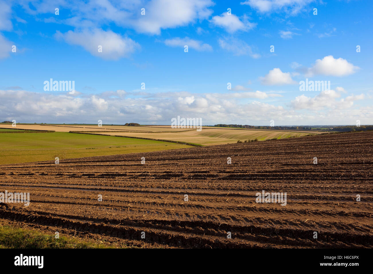 Patterns and textures of a muddy harvested potato field in scenic ...