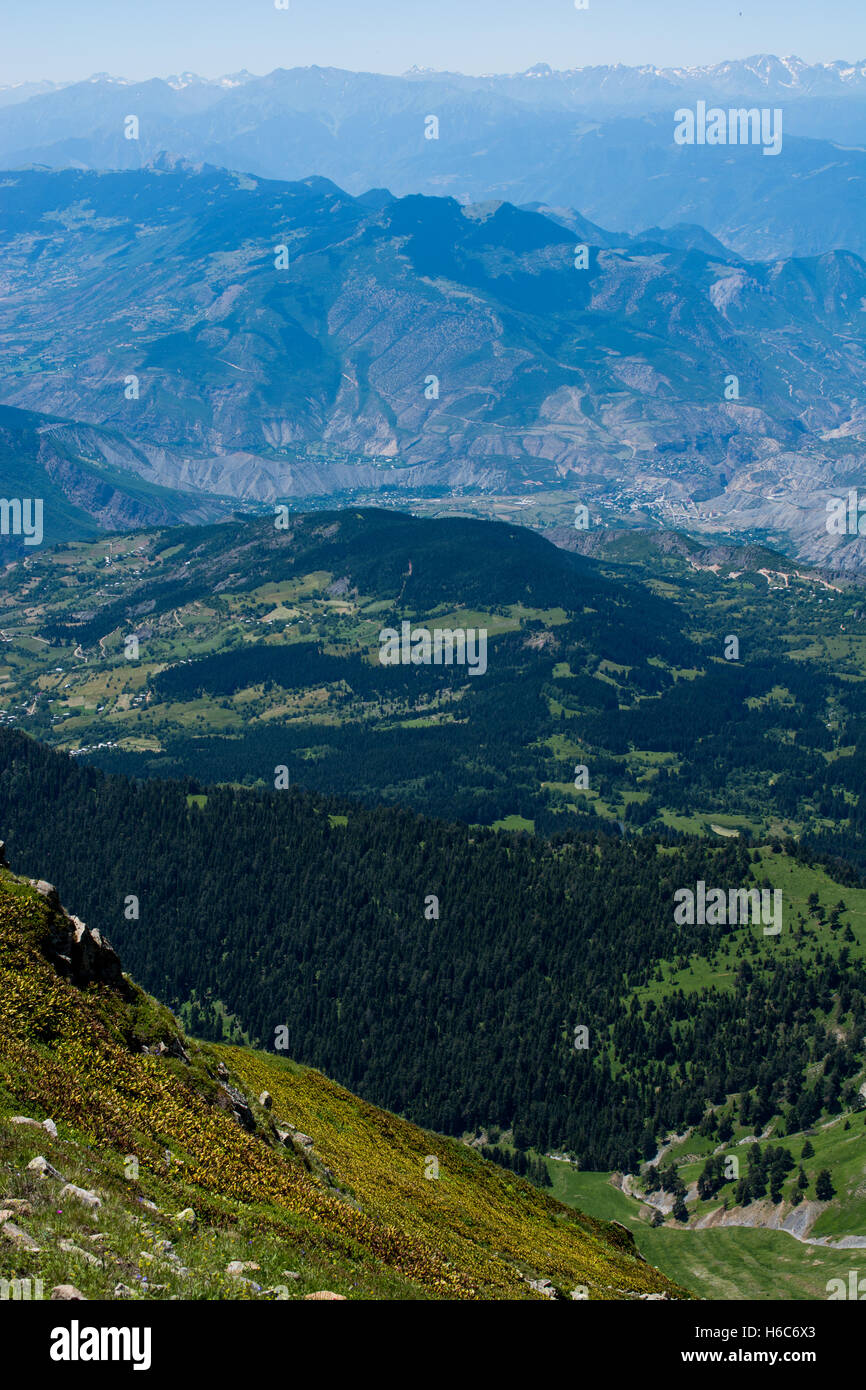 Landscape with trees of highland forest Stock Photo - Alamy