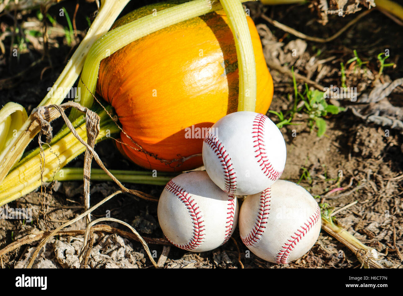Baseball playoffs hi-res stock photography and images - Alamy