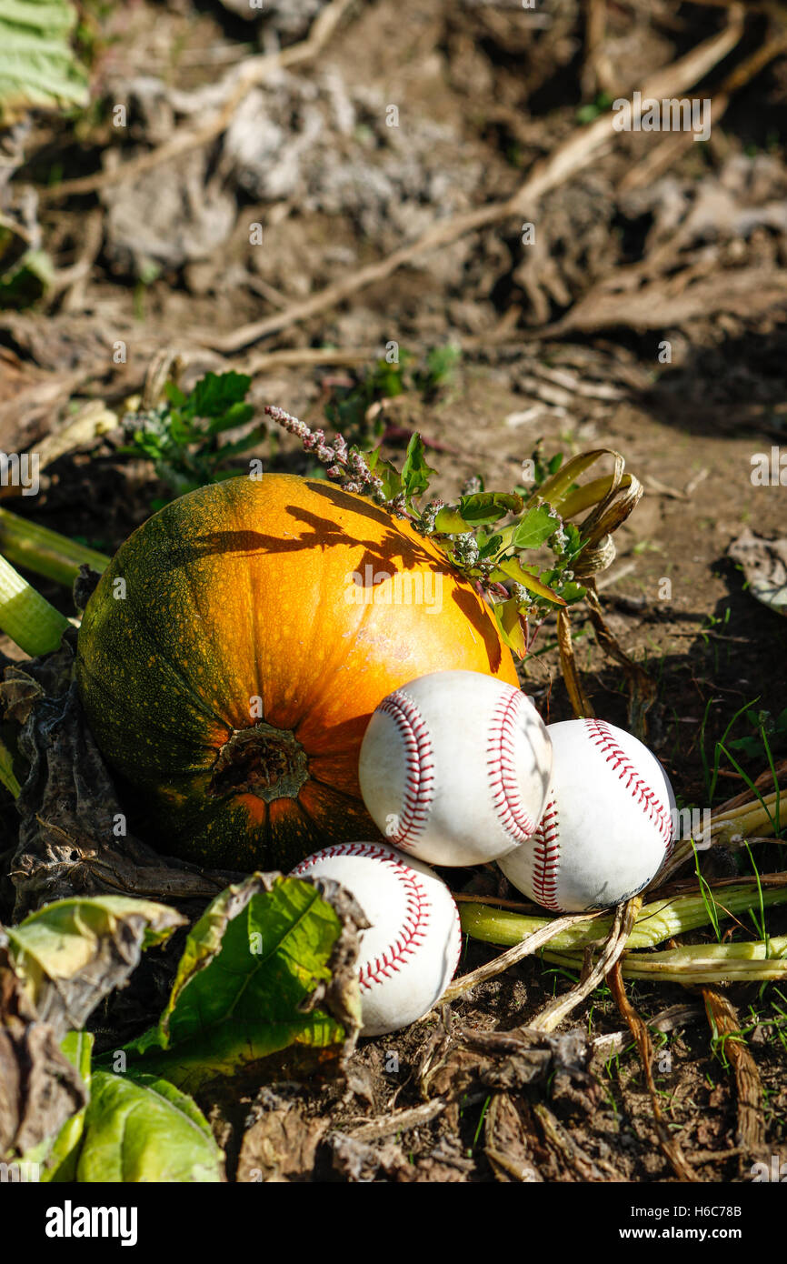 Fall baseball hi-res stock photography and images - Alamy