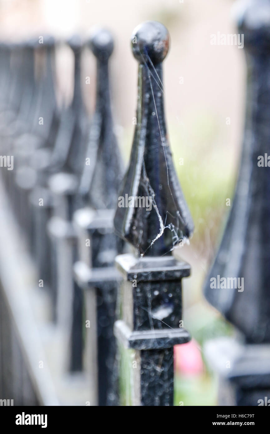 Black iron fence with cobwebs Stock Photo - Alamy