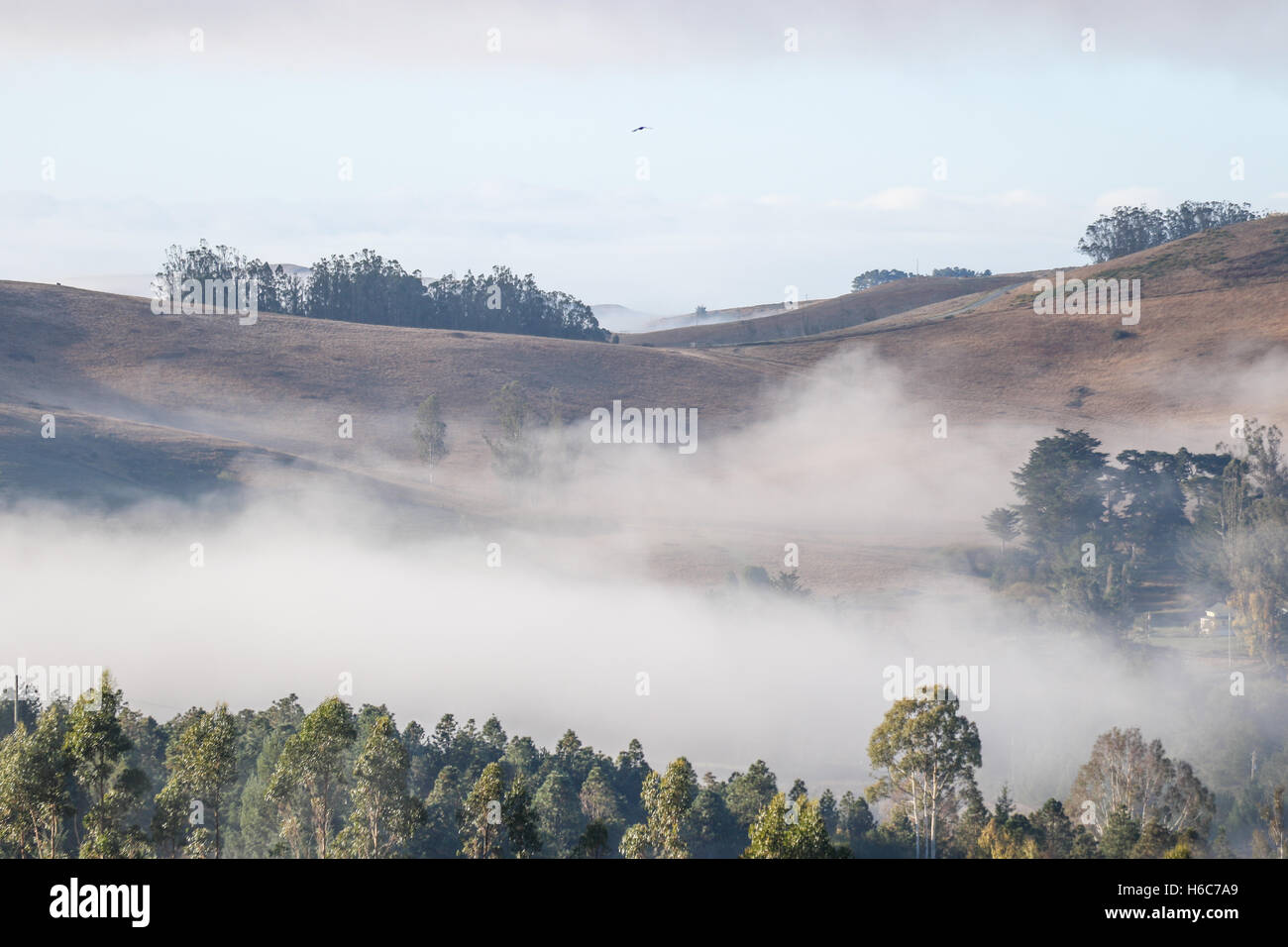 Morning fog rolling in on the hills above the houses Stock Photo - Alamy