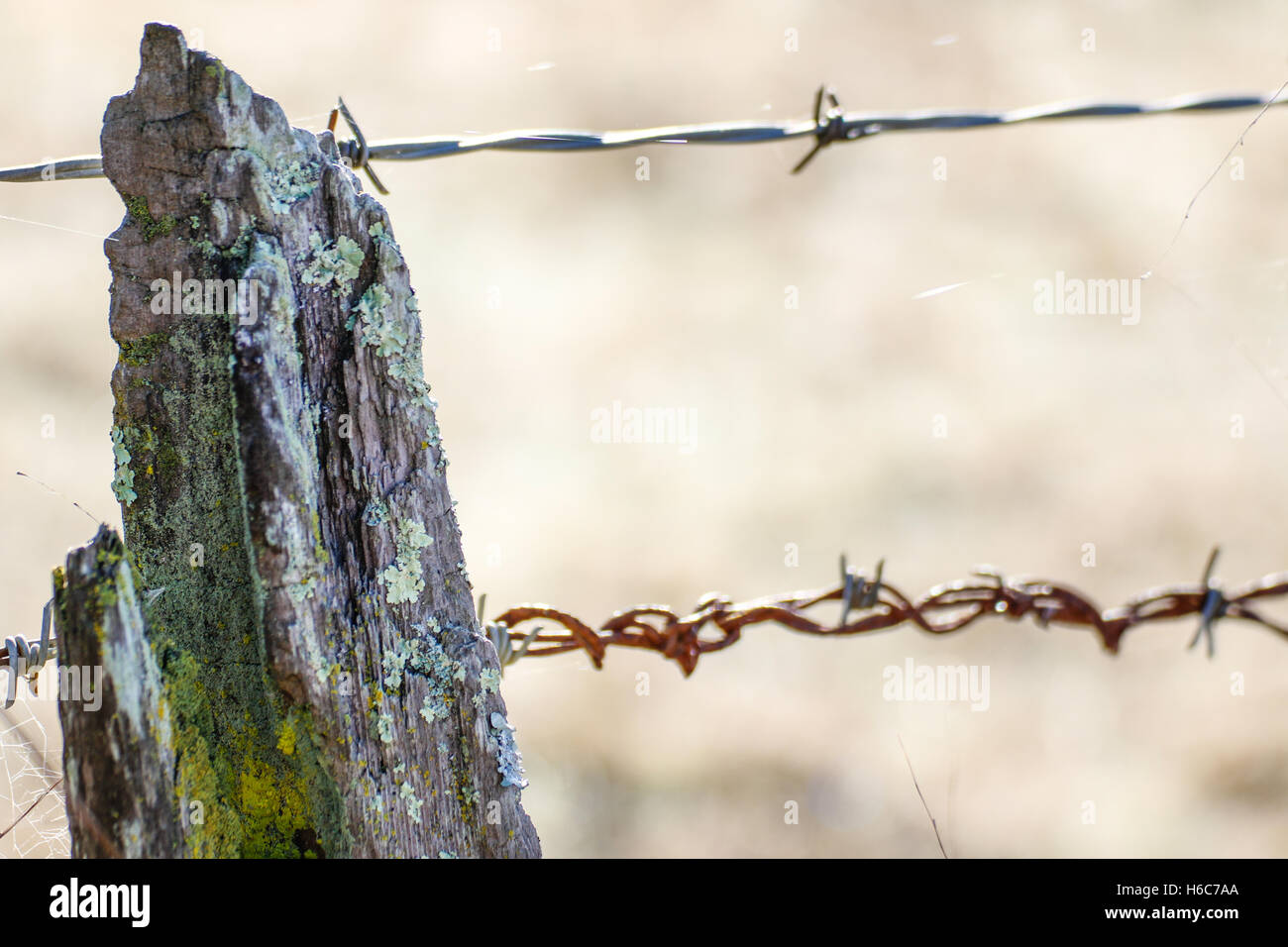 Barb wire, wooden fence hi-res stock photography and images - Alamy