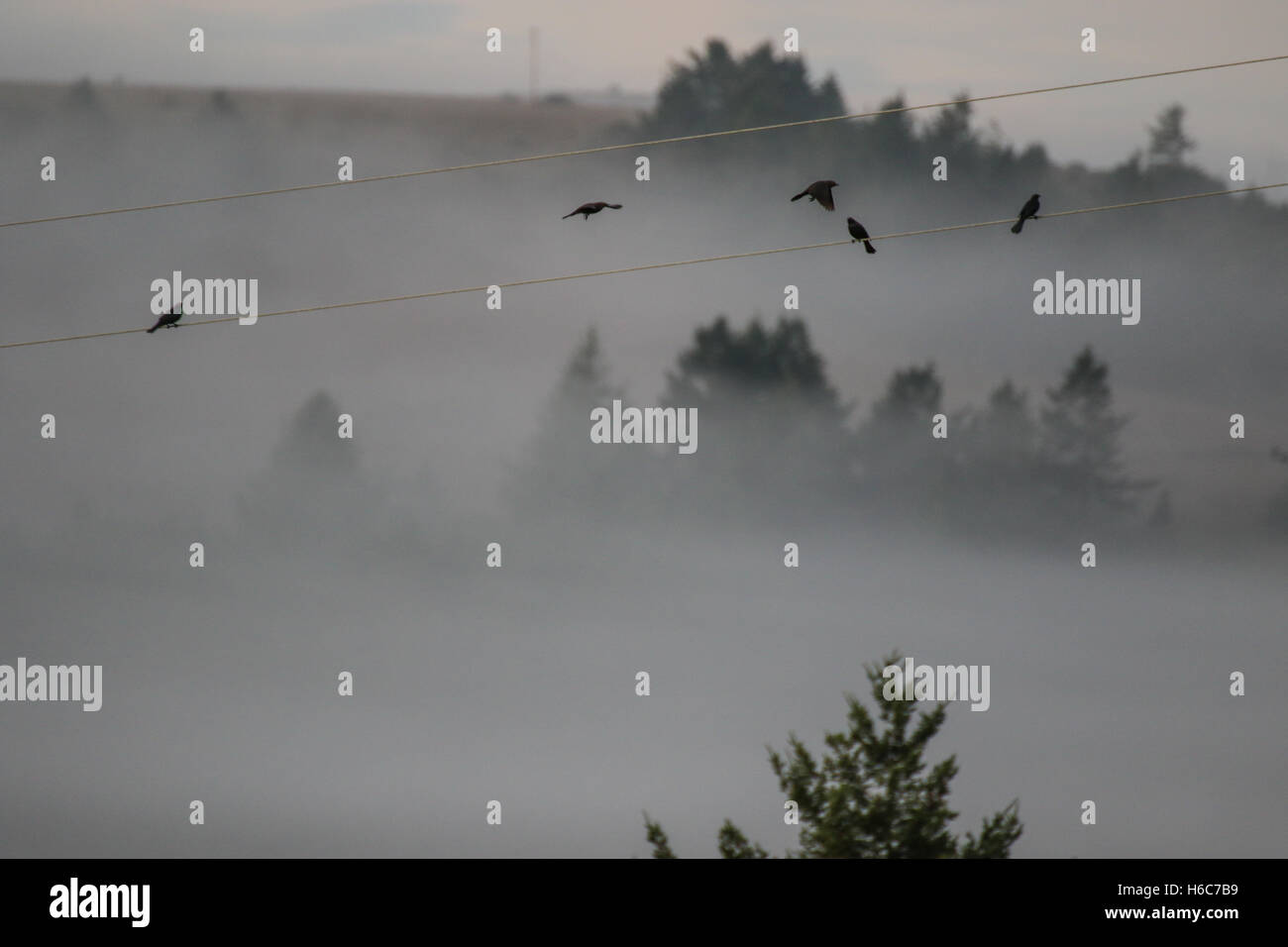 Morning fog rolling in on the hills above the houses Stock Photo - Alamy