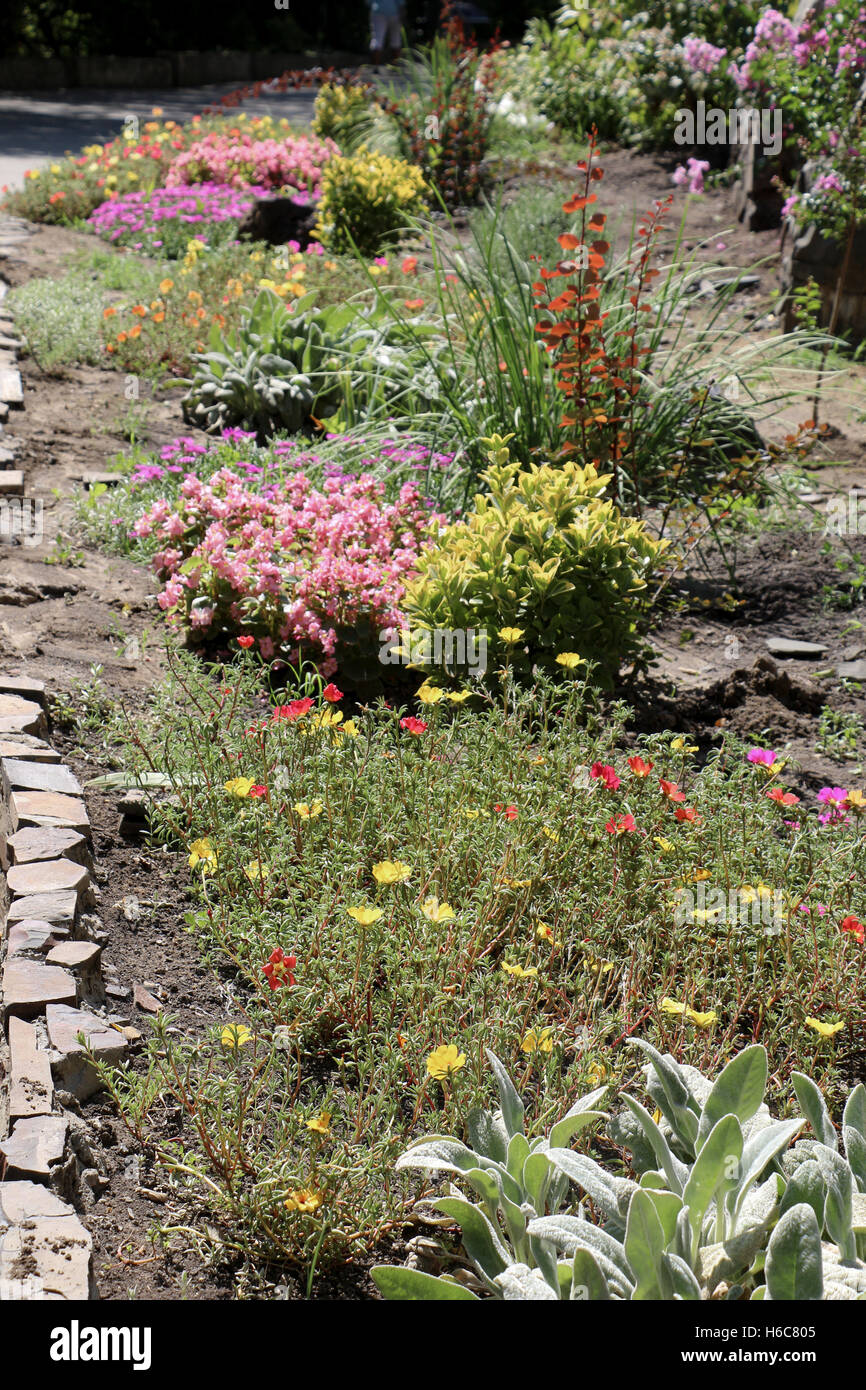 Beautiful colorful flower garden with various flowers Stock Photo - Alamy