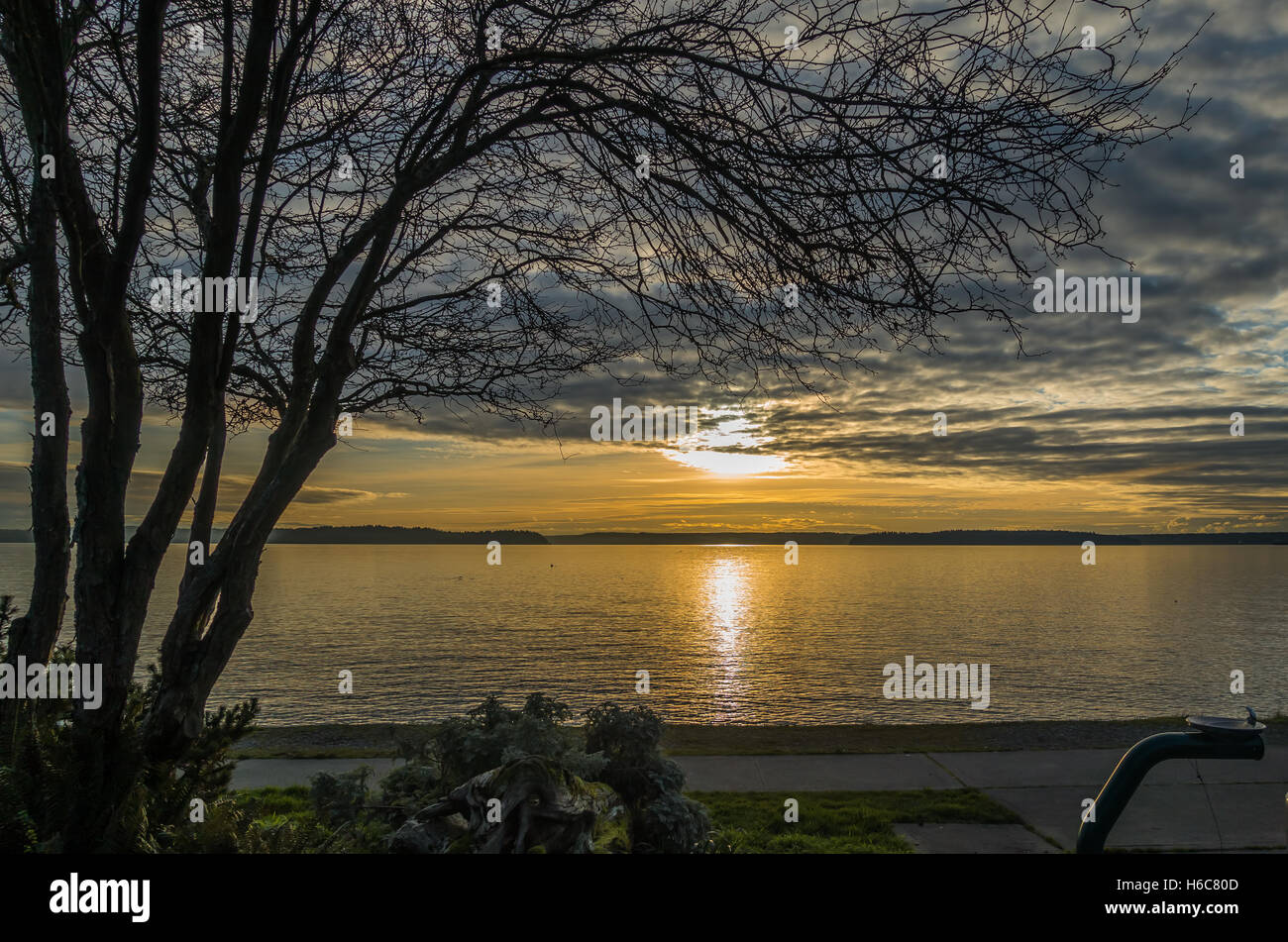 A view of a yellow sunset over the Puget Sound from West Seattle Stock ...