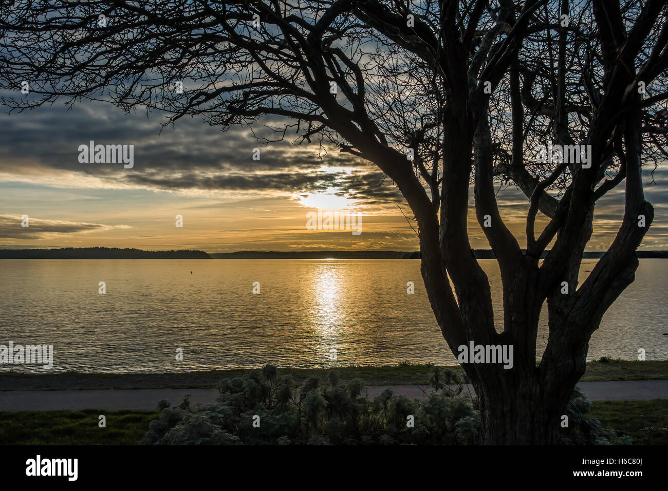 A view of a yellow sunset over the Puget Sound from West Seattle Stock ...