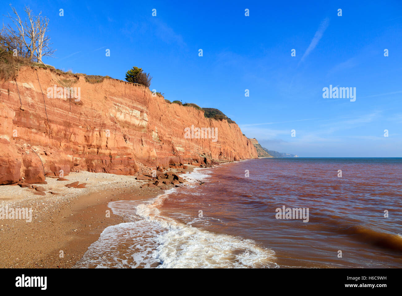 The beach and Otter sandstone Triassic cliffs stretching eastwards from ...