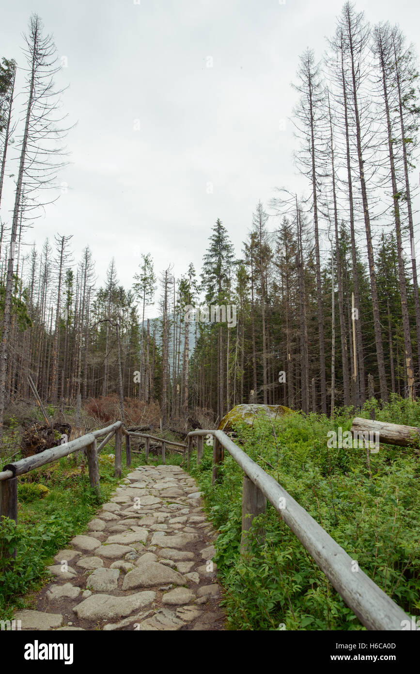 Hiking stone path in hi-res stock photography and images - Alamy