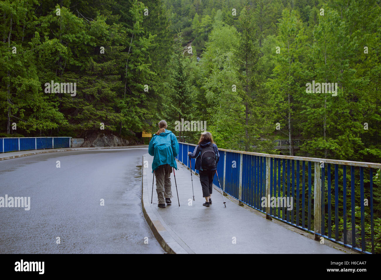 Woman walking over wooden bridge in summer time Stock Photo - Alamy