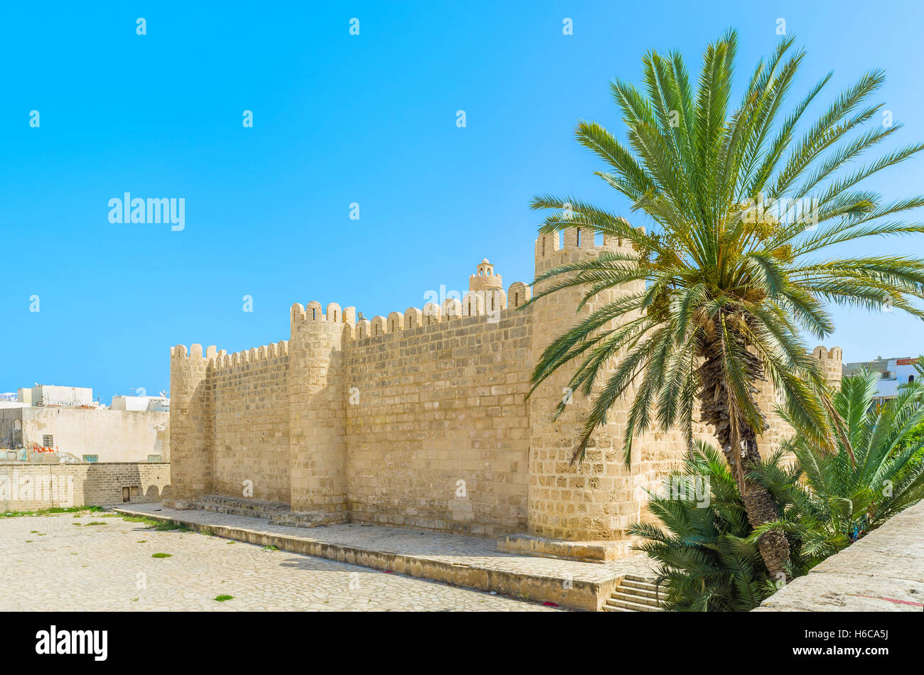 The huge rampart of the Ribat citadel behind the green palm tree in the ...