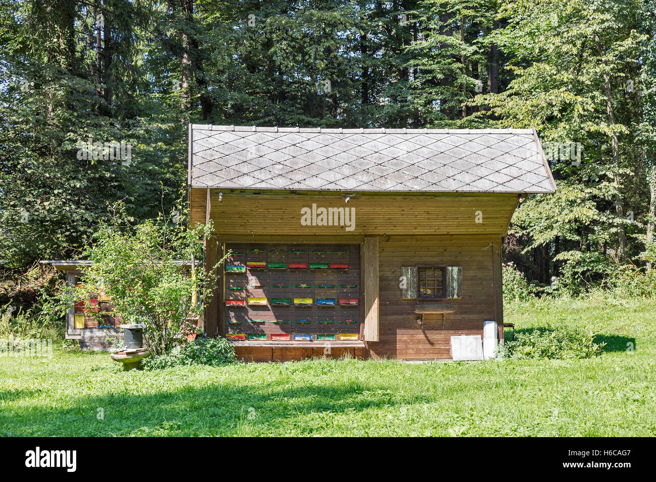 Apiary house with hives in the mountains of Slovenia Stock Photo - Alamy