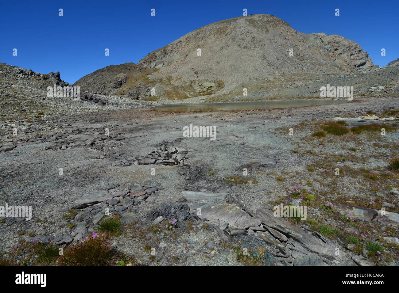 Active patterned ground on a high alpine plateau in the Western Italian ...