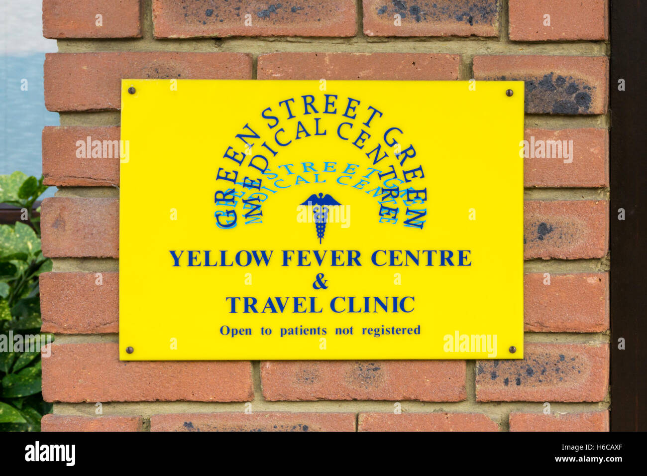 Marine Hospital Yellow Fever