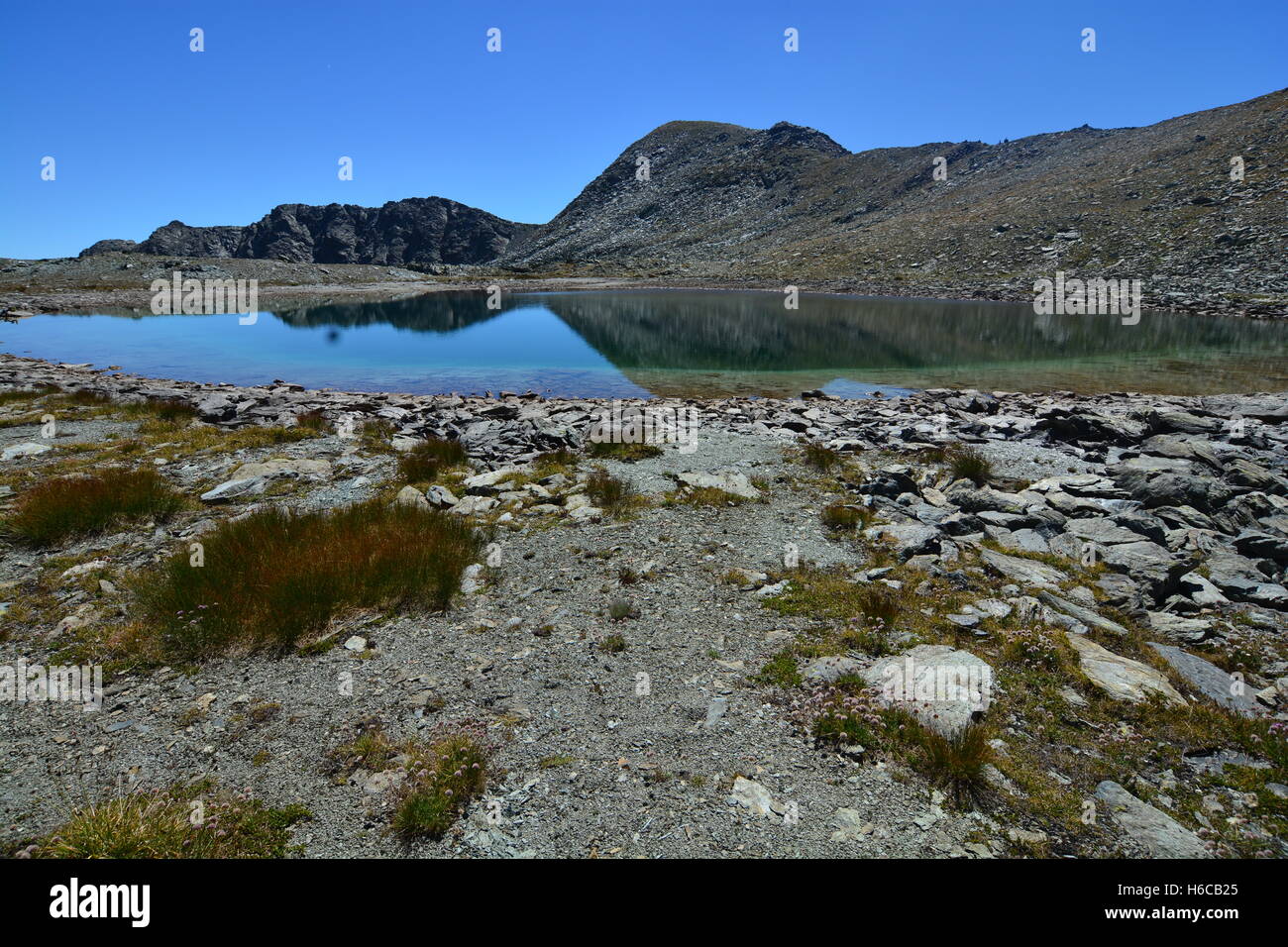 Active patterned ground on a high alpine plateau in the Western Italian ...