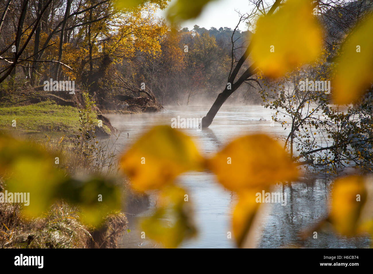 Fall/autumn in the Provence, France, Europe.Chateauvert Stock Photo - Alamy